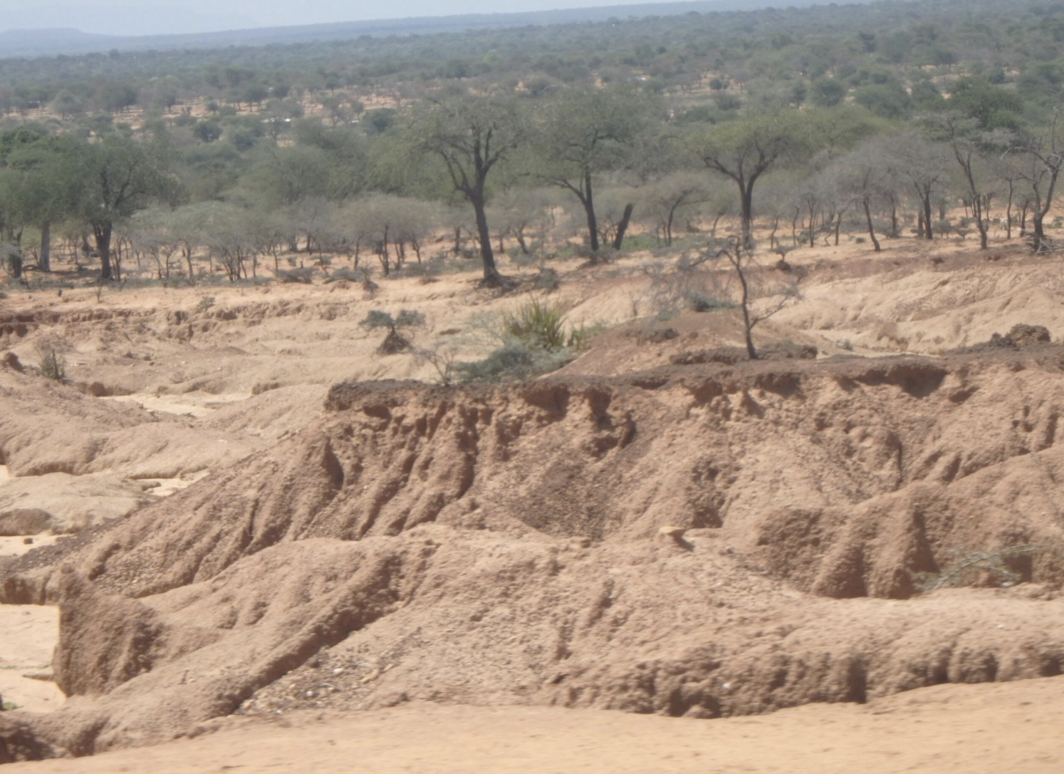 Traditions and cultural appendage derailing efforts against endemic ...